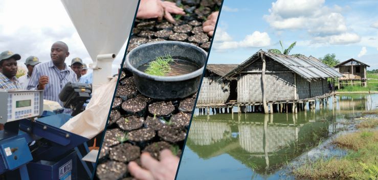New brief: Enhanced taxonomy for adaptation technologies - Technology ...