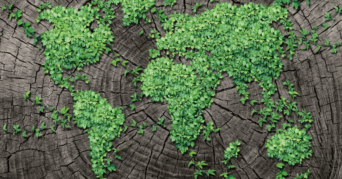 New report: Enhanced taxonomy for adaptation technologies - Technology ...